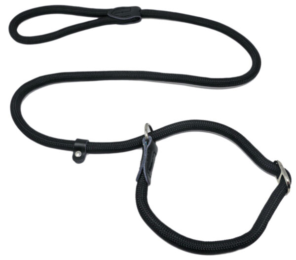 Figure 8 Double Stop Lead - The Pet Experience